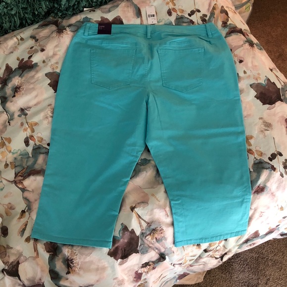 Lane Bryant | Pants & Jumpsuits | Nwt Lane Bryant Stretch Capri Pants ...
